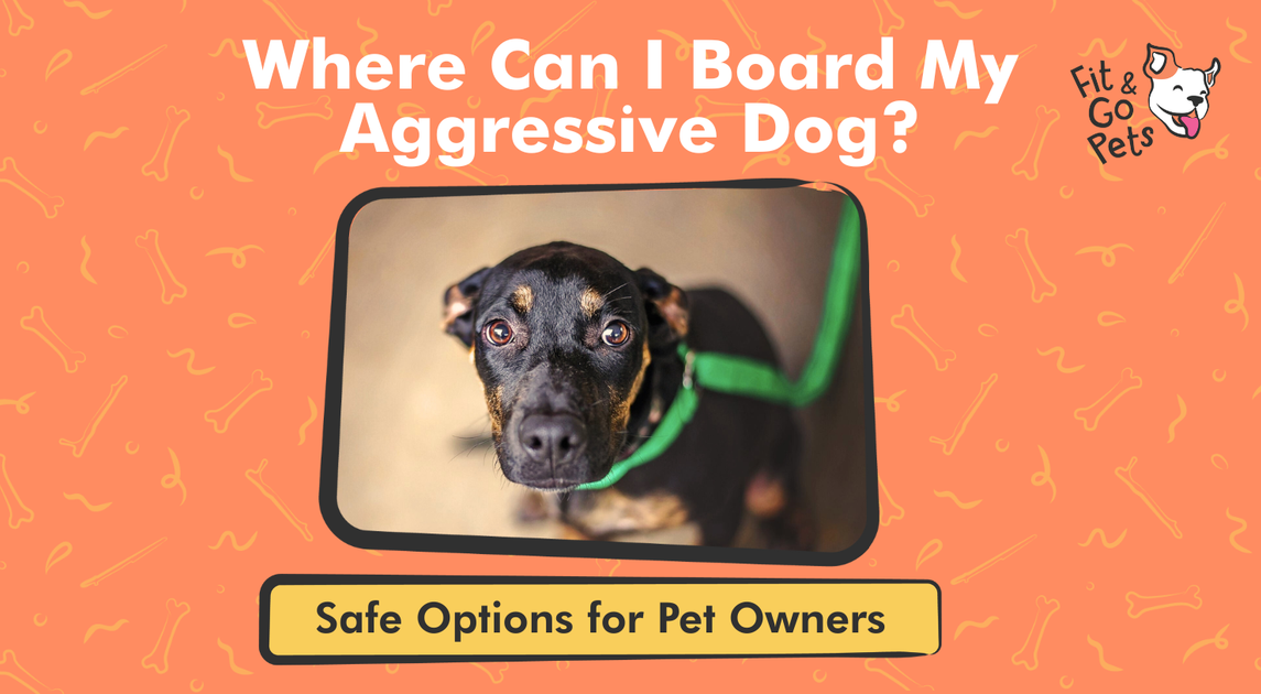 Where Can I Board My Aggressive Dog? | Fit & Go Pets Dog Boarding